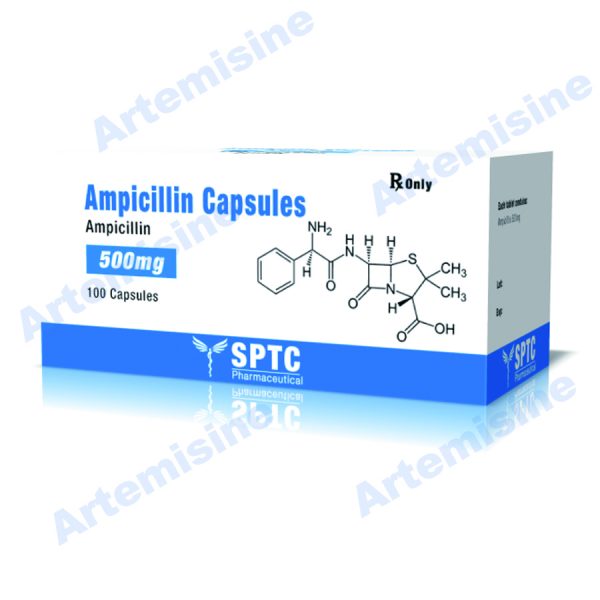 Ampicillin capsules 500mg | Sinophare Bio-technology Co., Ltd